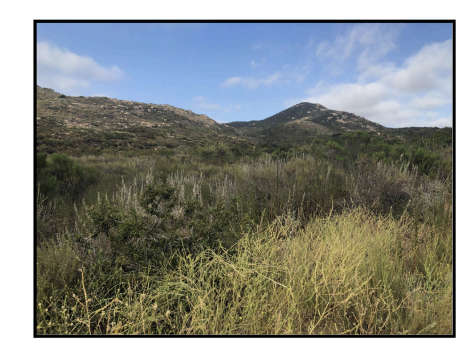 Preserving Protecting Maintaining Open Space Southern California